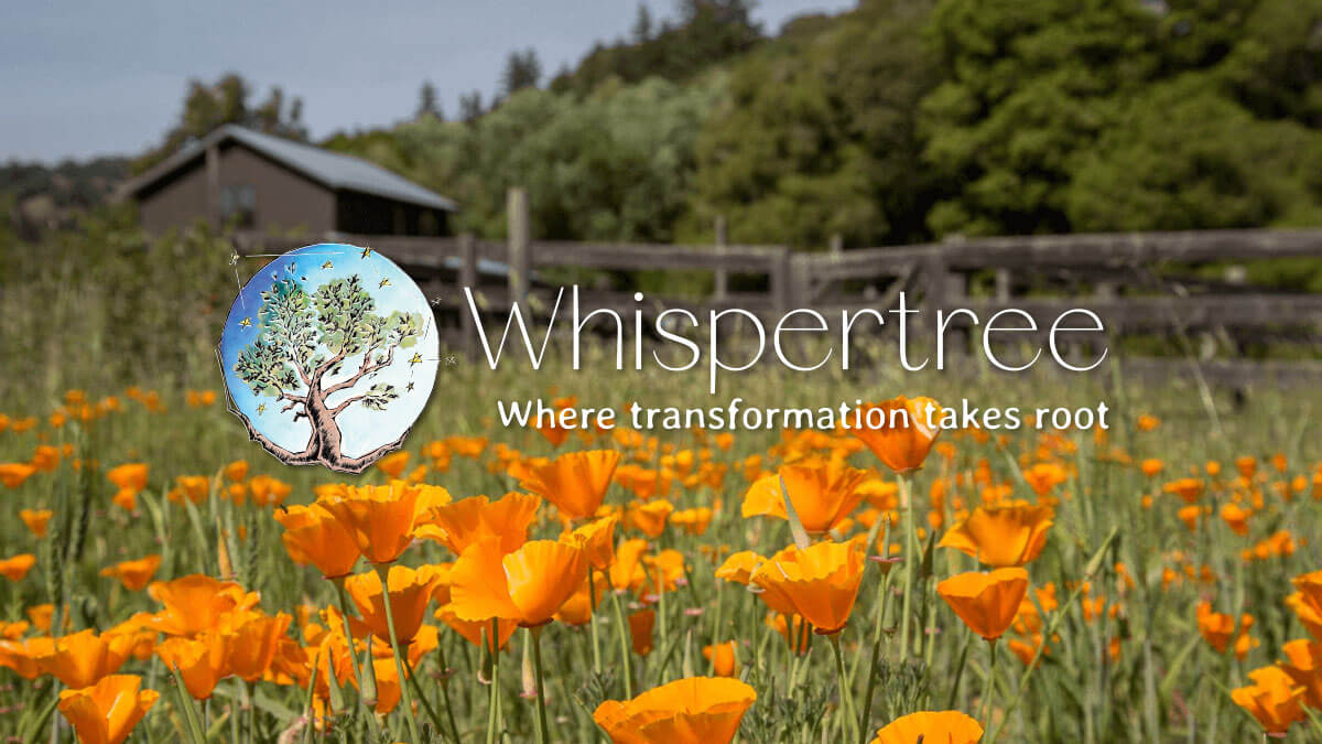 Getaways - Whispertree