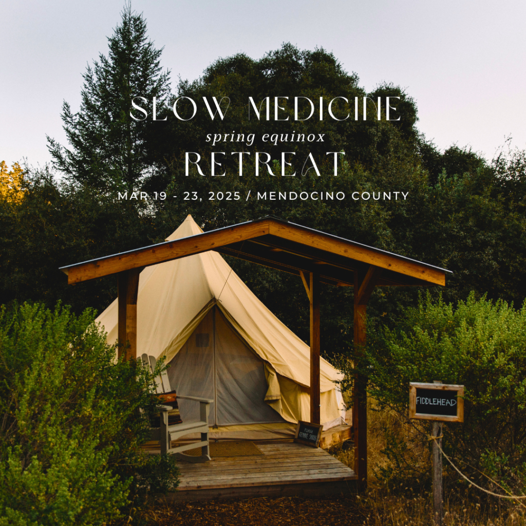 Slow Medicine Spring Equinox Retreat - Whispertree